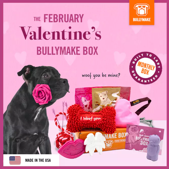 Bullymake Box - A Dog Subscription Box For Power Chewers!