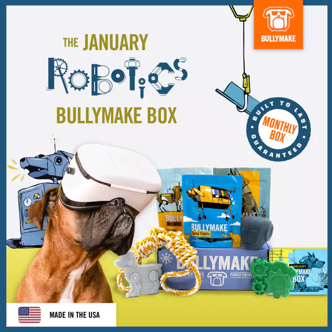 Bullymake Box - A Dog Subscription Box For Power Chewers!