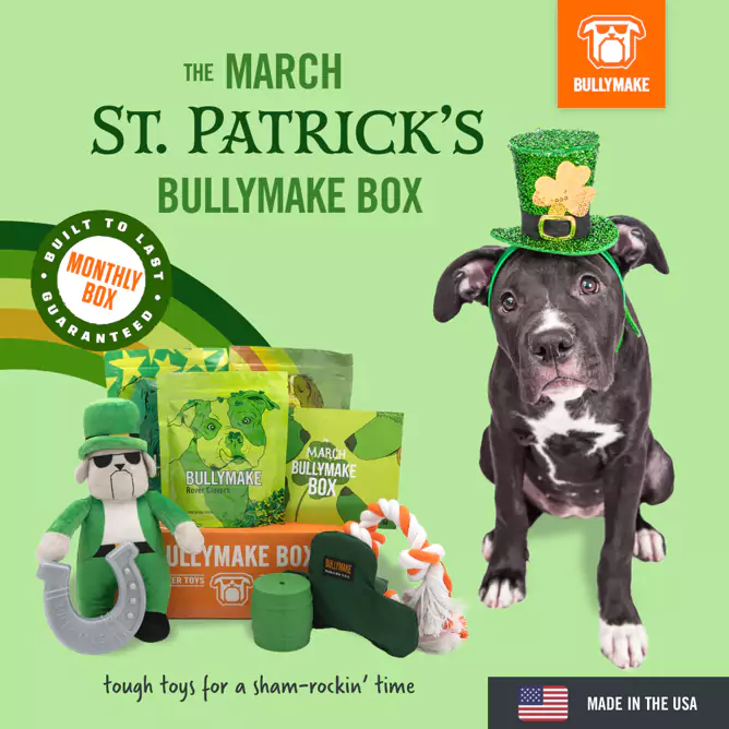 Bullymake Box - A Dog Subscription Box For Power Chewers!